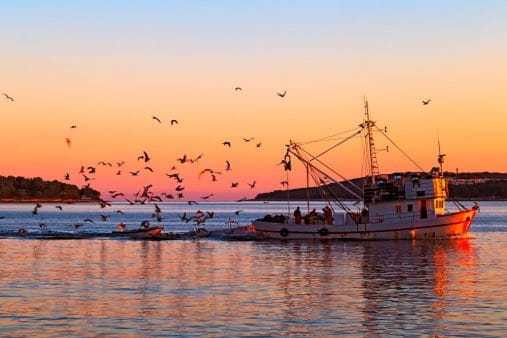 FlexMaritime for Fishing | Intelsat